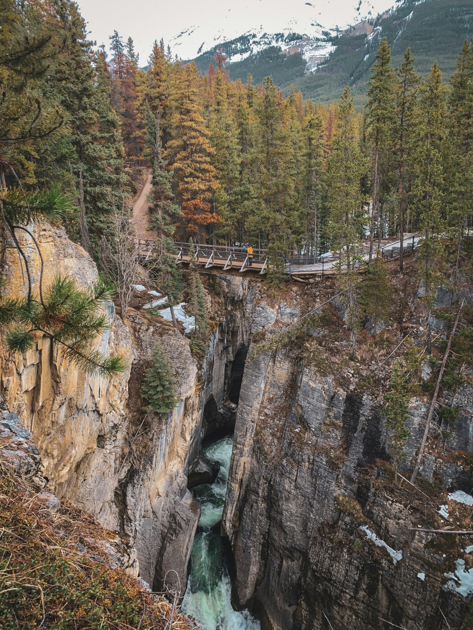 Sunwapta Falls Jasper National Park: What You Need To Know