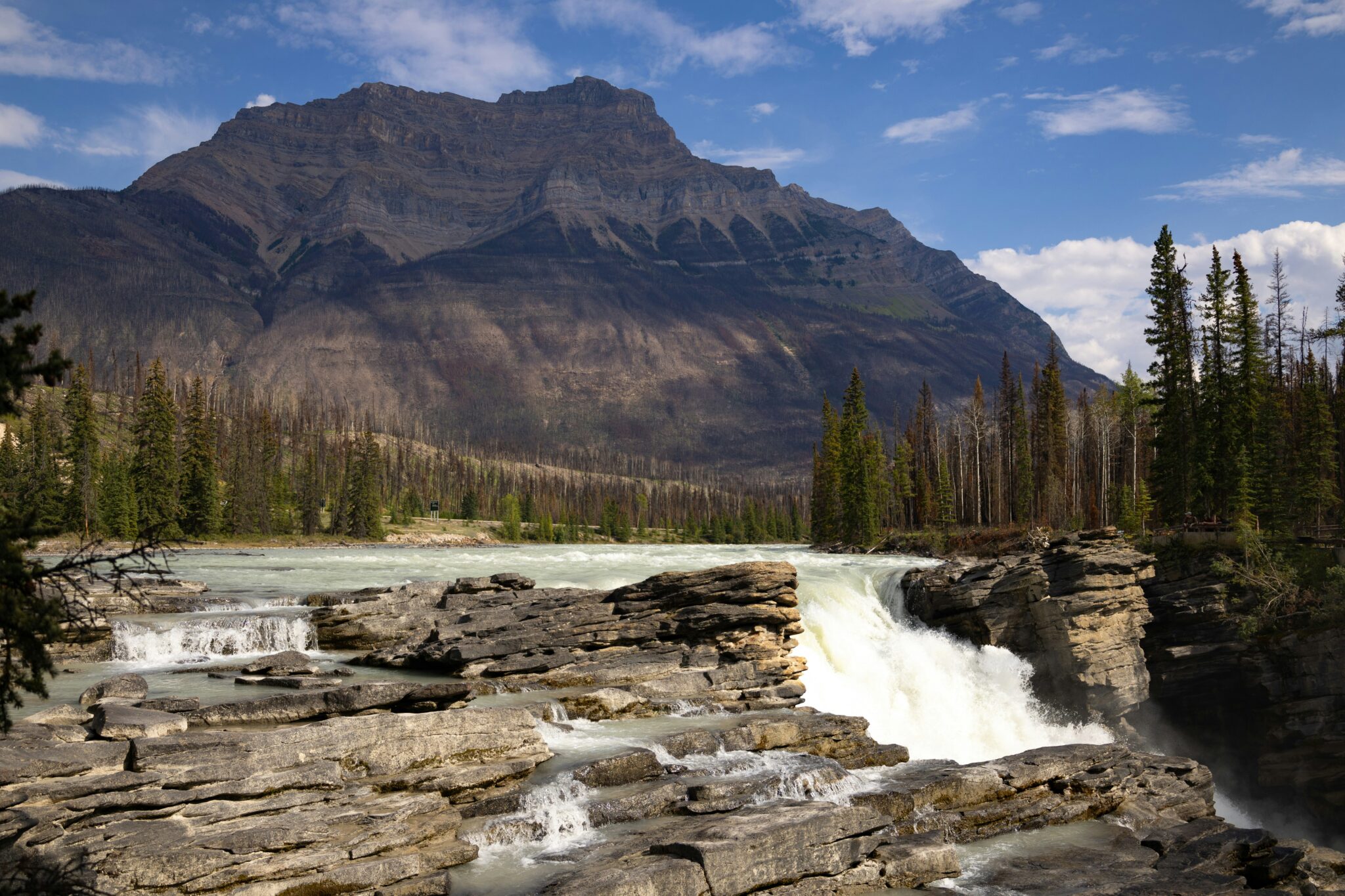 Jasper to Banff Drive: Best Icefields Parkway Stops